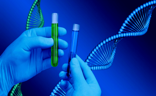 Estas son todas las ramas de la biología. Definiciones y características