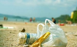 ¿Cuáles son los principales problemas medioambientales en España?