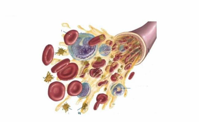 Normocitosis y normocromía. Significados y características