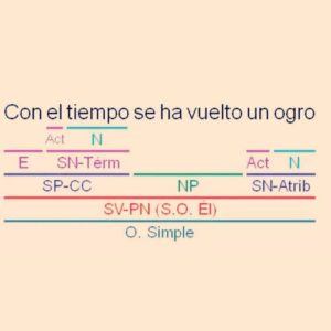 Qué es un complemento circunstancial, tipos y cómo reconocerlo + EJEMPLOS