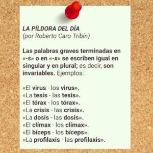 Qué son las palabras variables e invariables y ejemplos