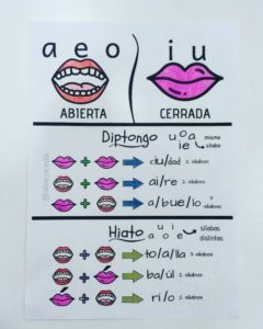 Cuáles son las vocales abiertas y cerradas - Diptongos e hiatos