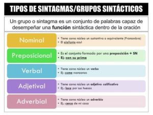 Tipos de sintagmas y ejercicios