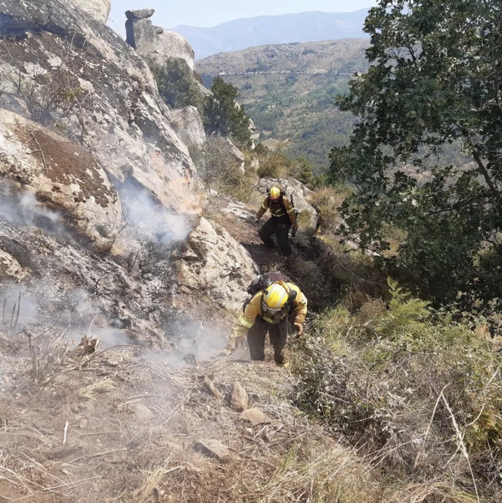 Oposiciones Agente Forestal