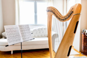 Lista de los instrumentos de Cuerda Pulsada con Fotos